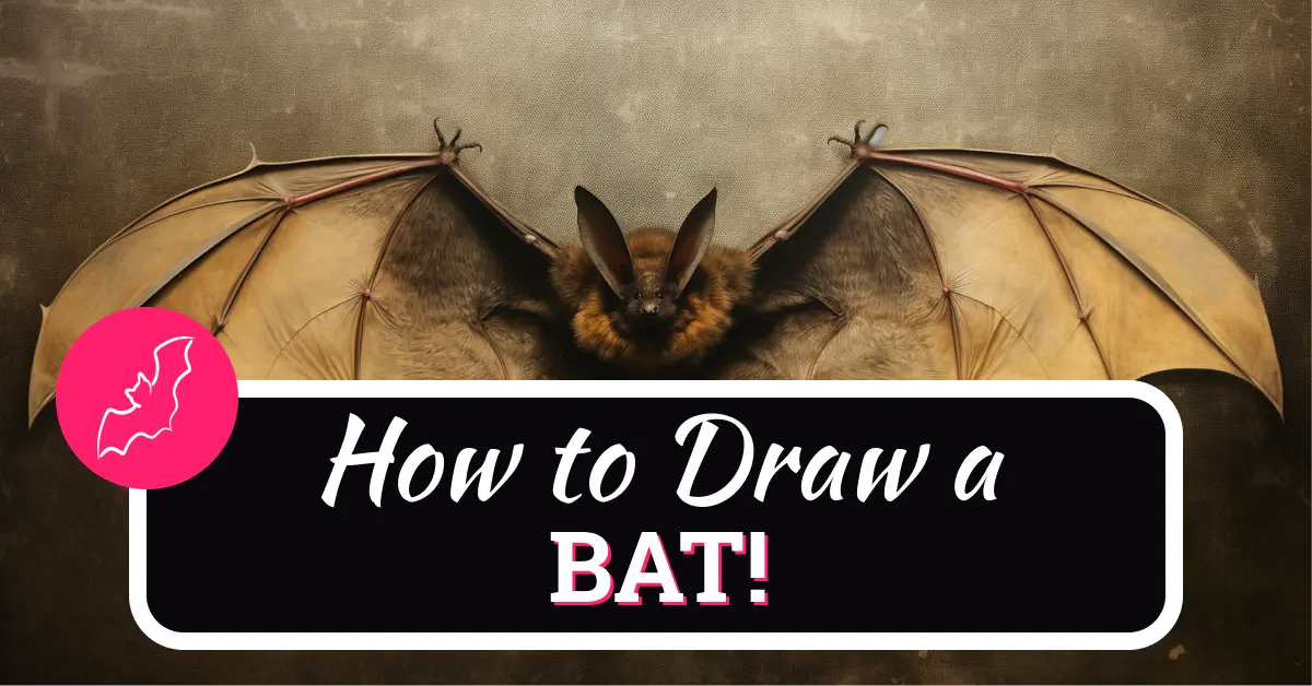 How To Draw A Bat Step By Step - 16 Easy Steps!