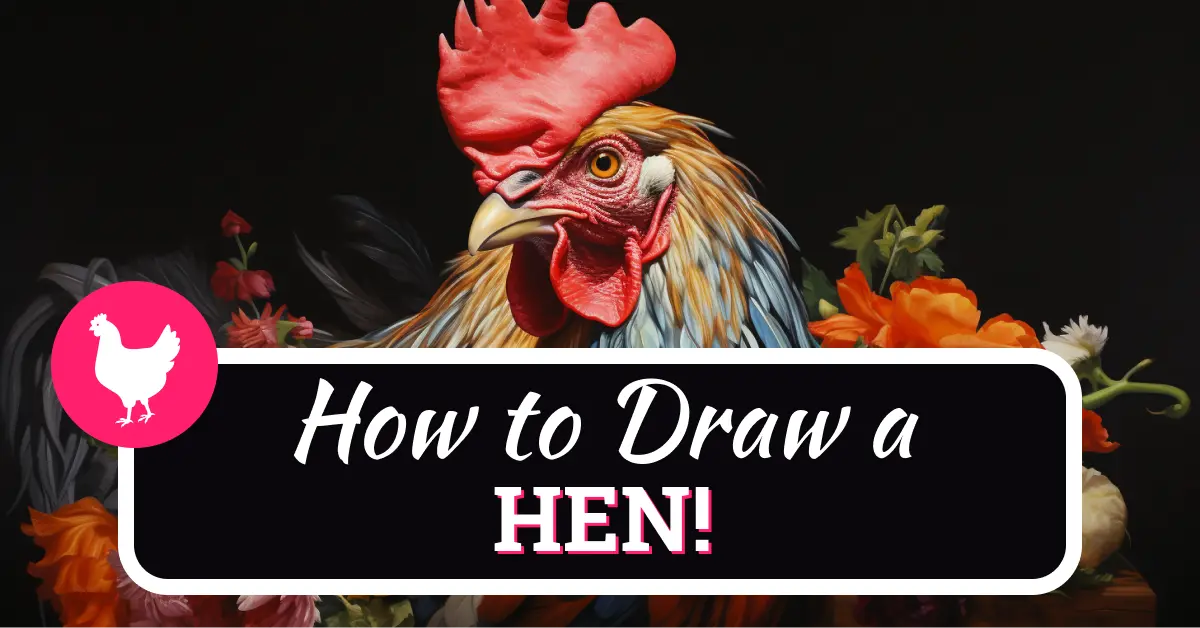 How To Draw A Hen Step By Step - 16 Easy Steps!