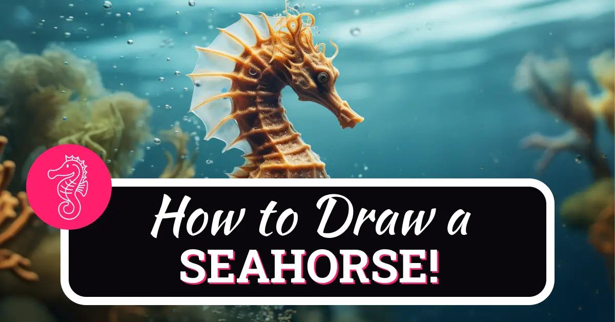 How To Draw A Seahorse Step By Step - 17 Easy Steps!