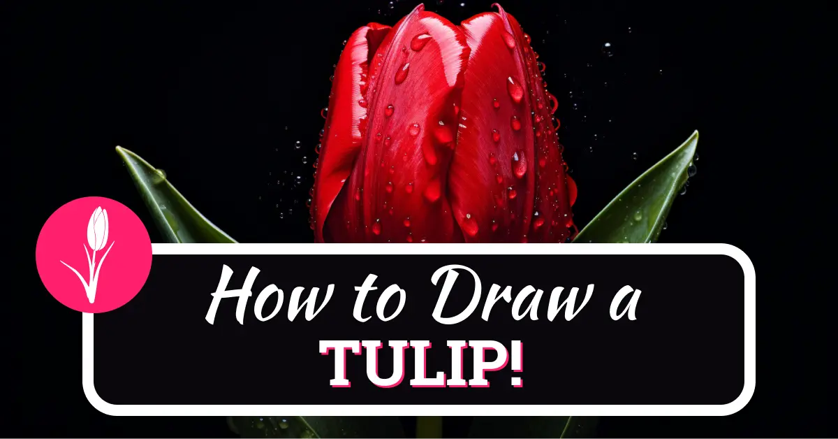 How To Draw A Tulip Step By Step - 13 Easy Steps!