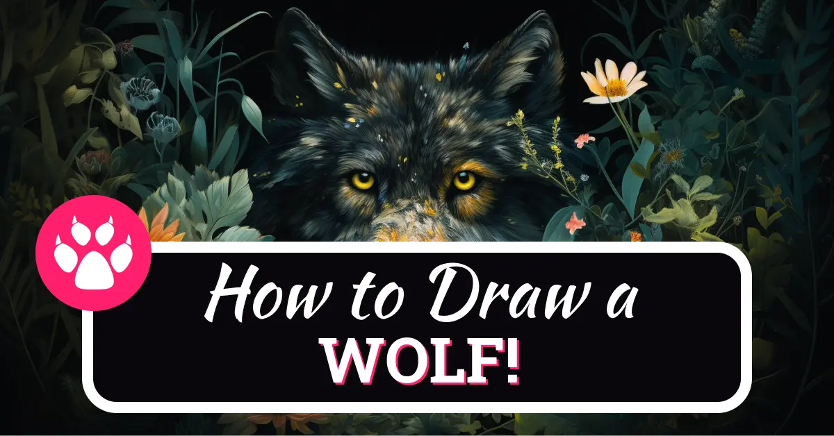 How To Draw A Wolf Step By Step - 23 Easy Steps!