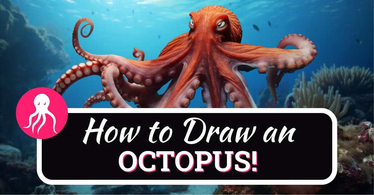 How To Draw An Octopus Step By Step - 13 Easy Steps!
